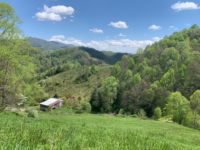 About - Background - Bee Tree Ridge Farm